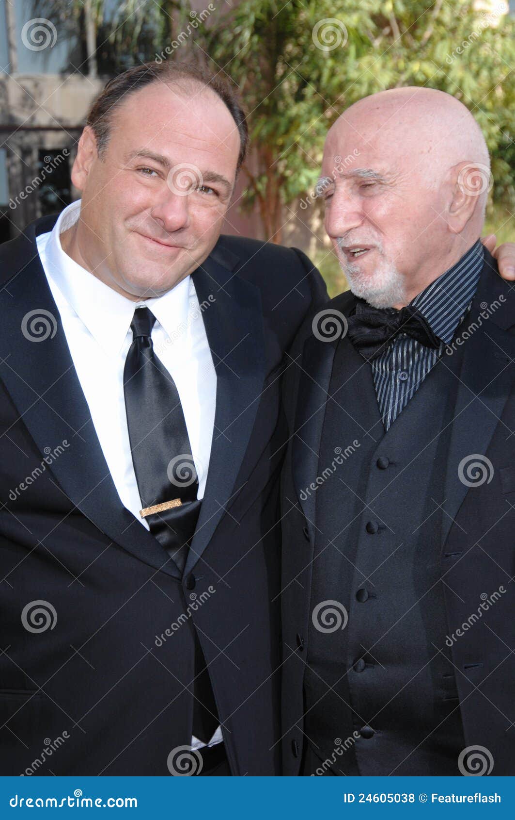 Dominic Chianese, James Gandolfini Photo stock éditorial - Image du ...