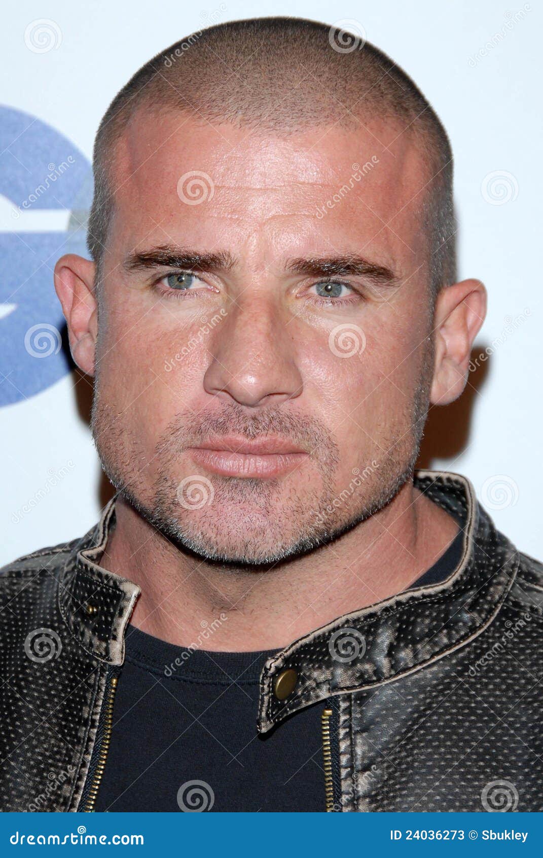 Dominic Purcell editorial stock photo. Image of 2007 - 24036273