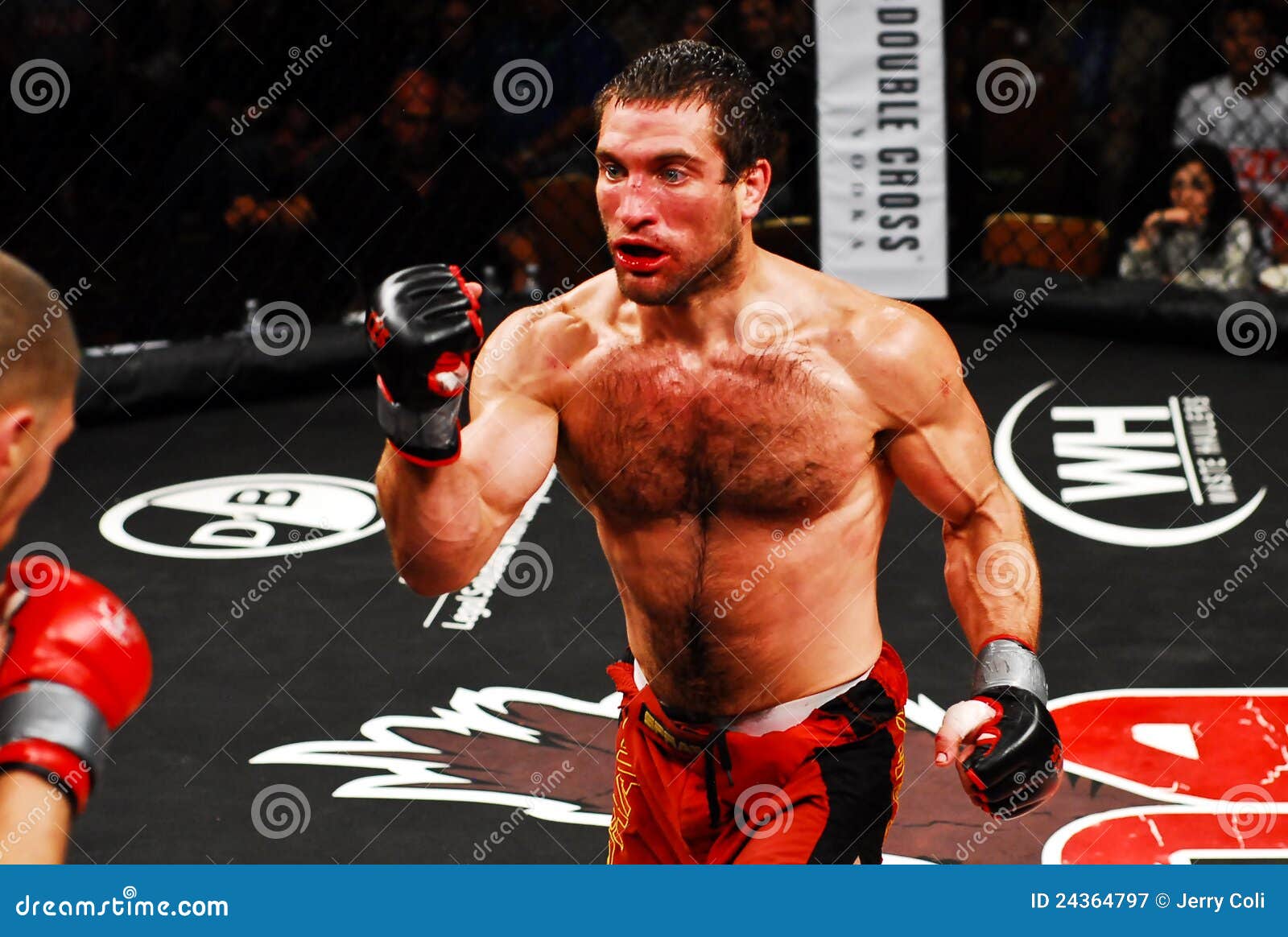 Dominic Warr Mixed Martial Artist Editorial Photography - Image of ...