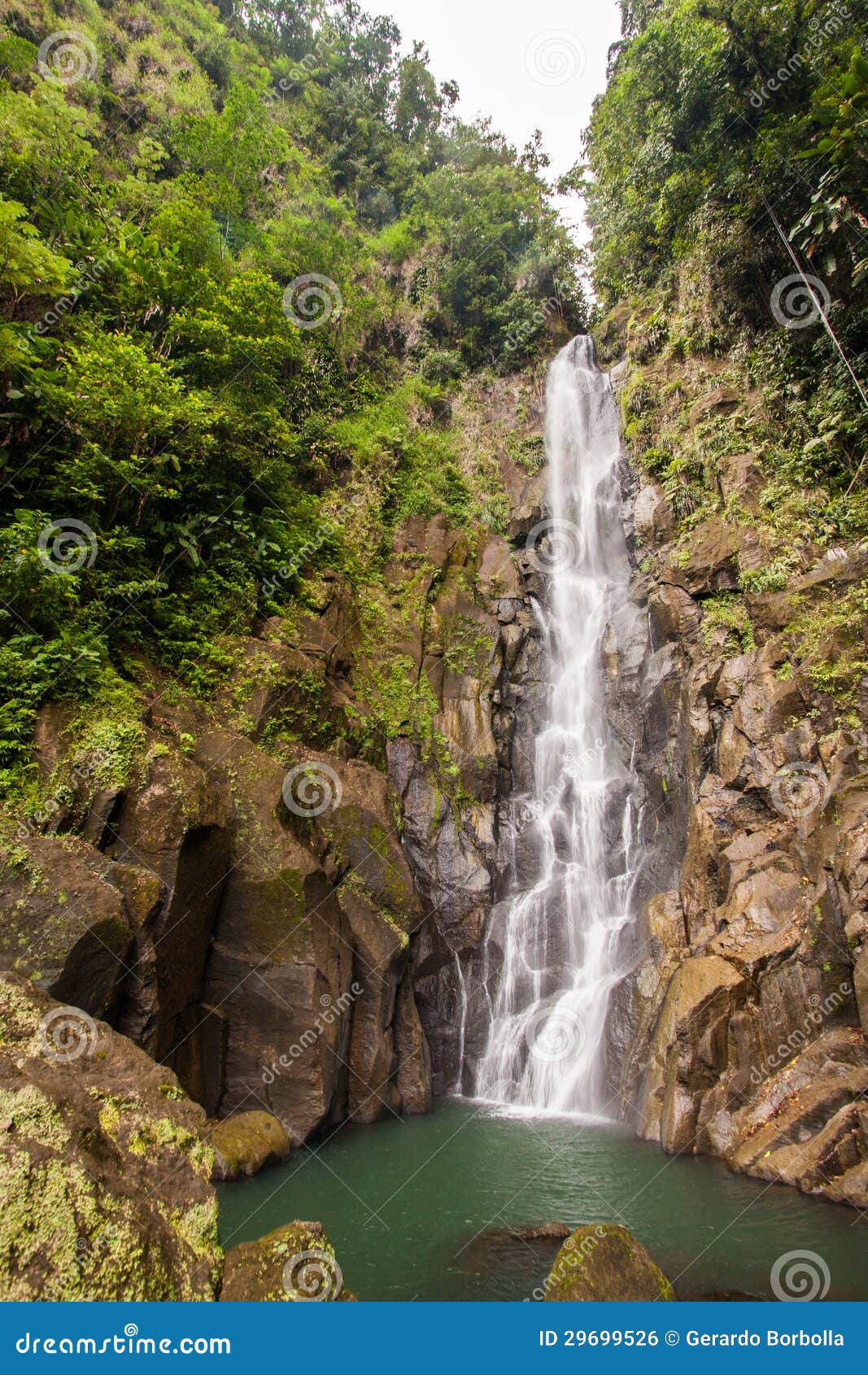 Dominica stock photo. Image of trees, caribbean, vacations - 29699526