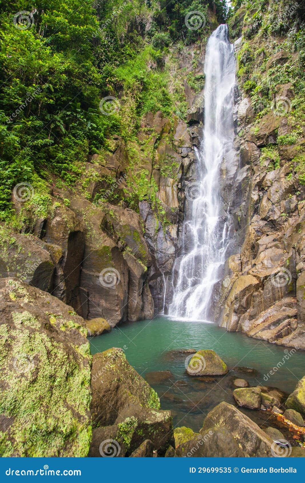 Dominica stock image. Image of forres, island, outdoor - 29699535