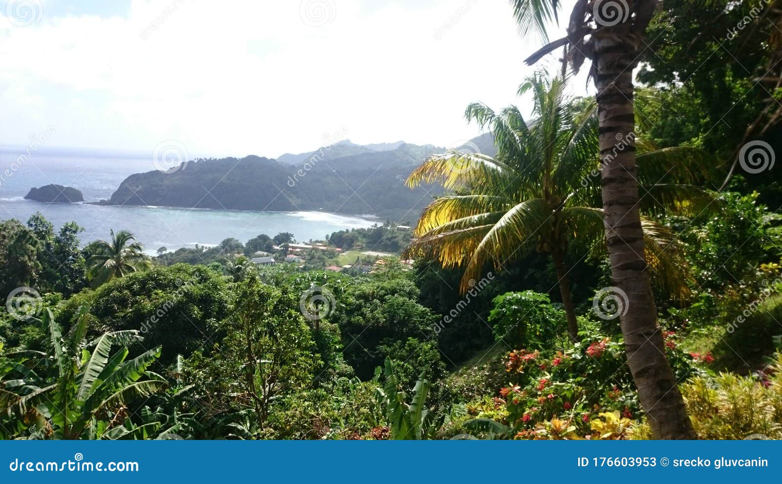 Dominica coast landscape stock image. Image of dominica - 176603953