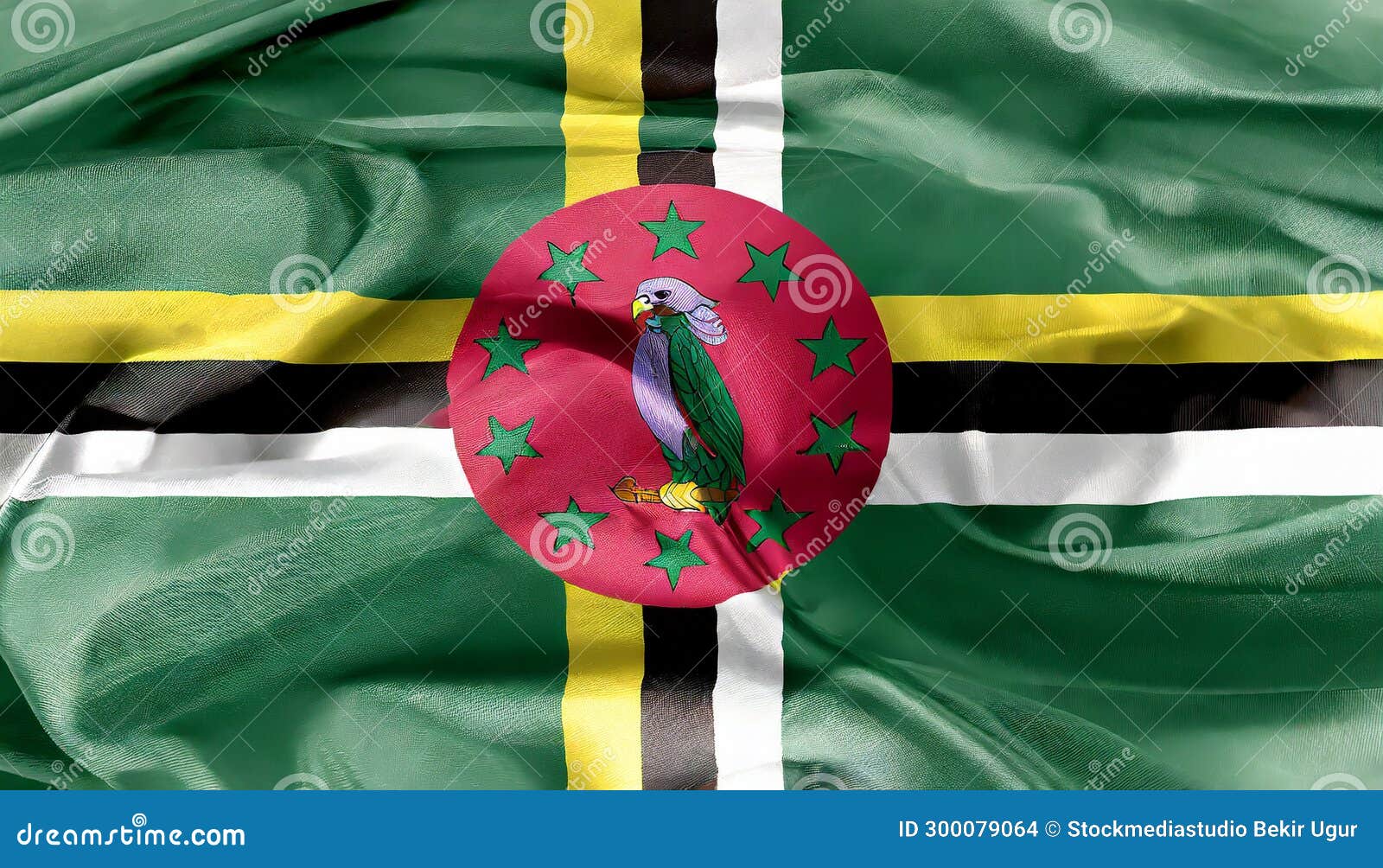 Dominica Flag stock illustration. Illustration of symbol - 300079064