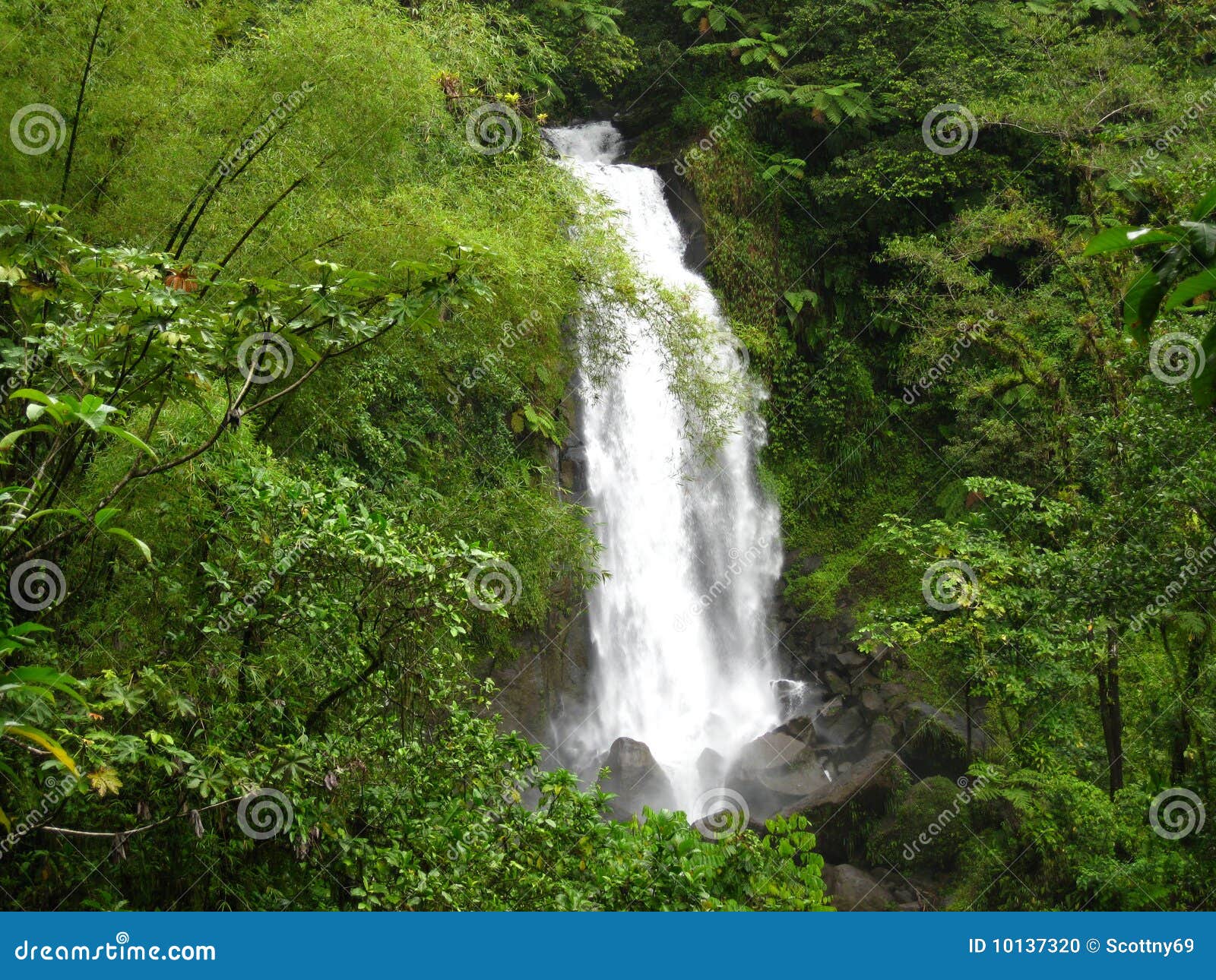 Dominica Waterfall stock photo. Image of rocks, system - 10137320