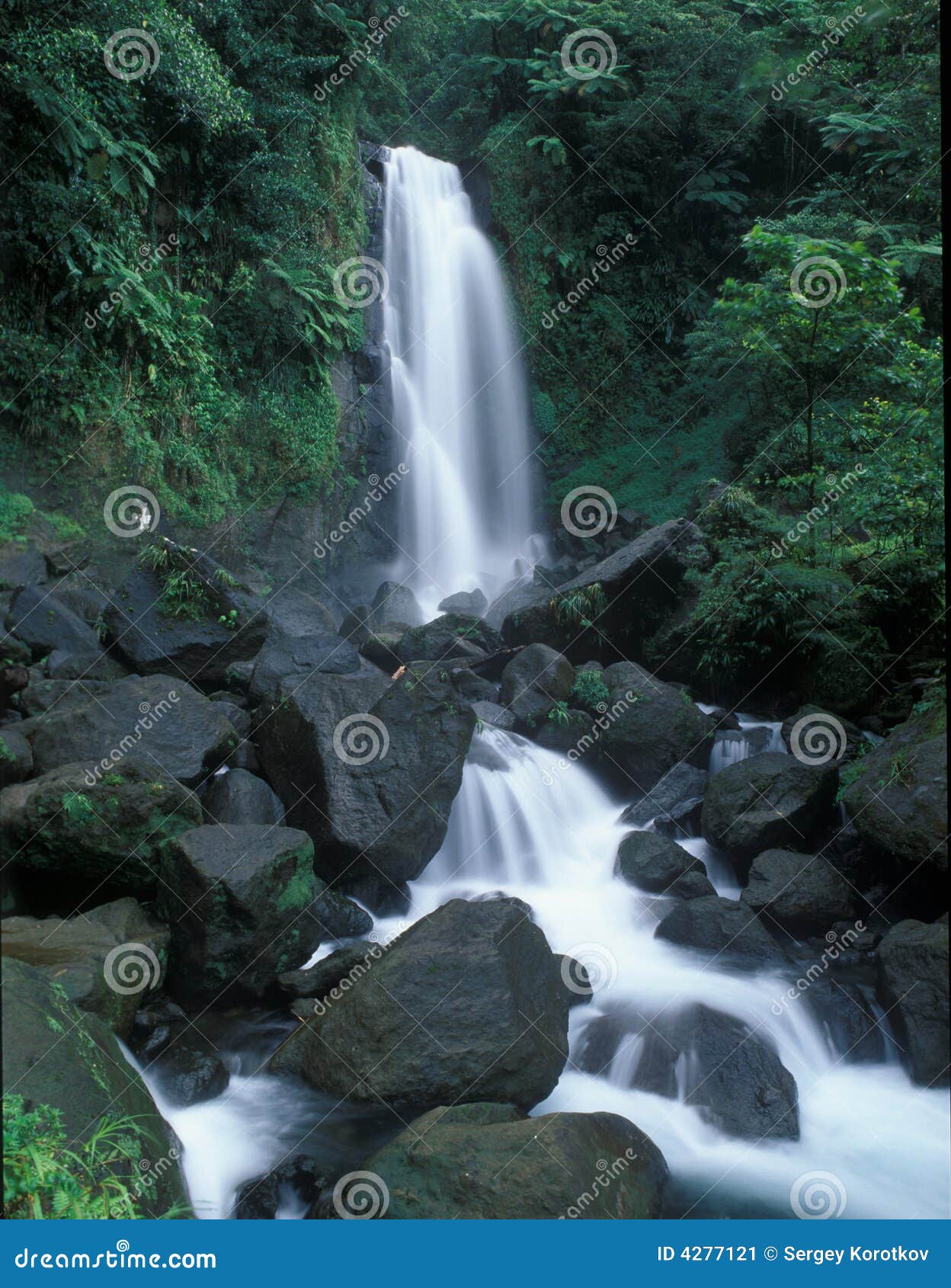 Dominica waterfall stock image. Image of forest, outdoor - 4277121