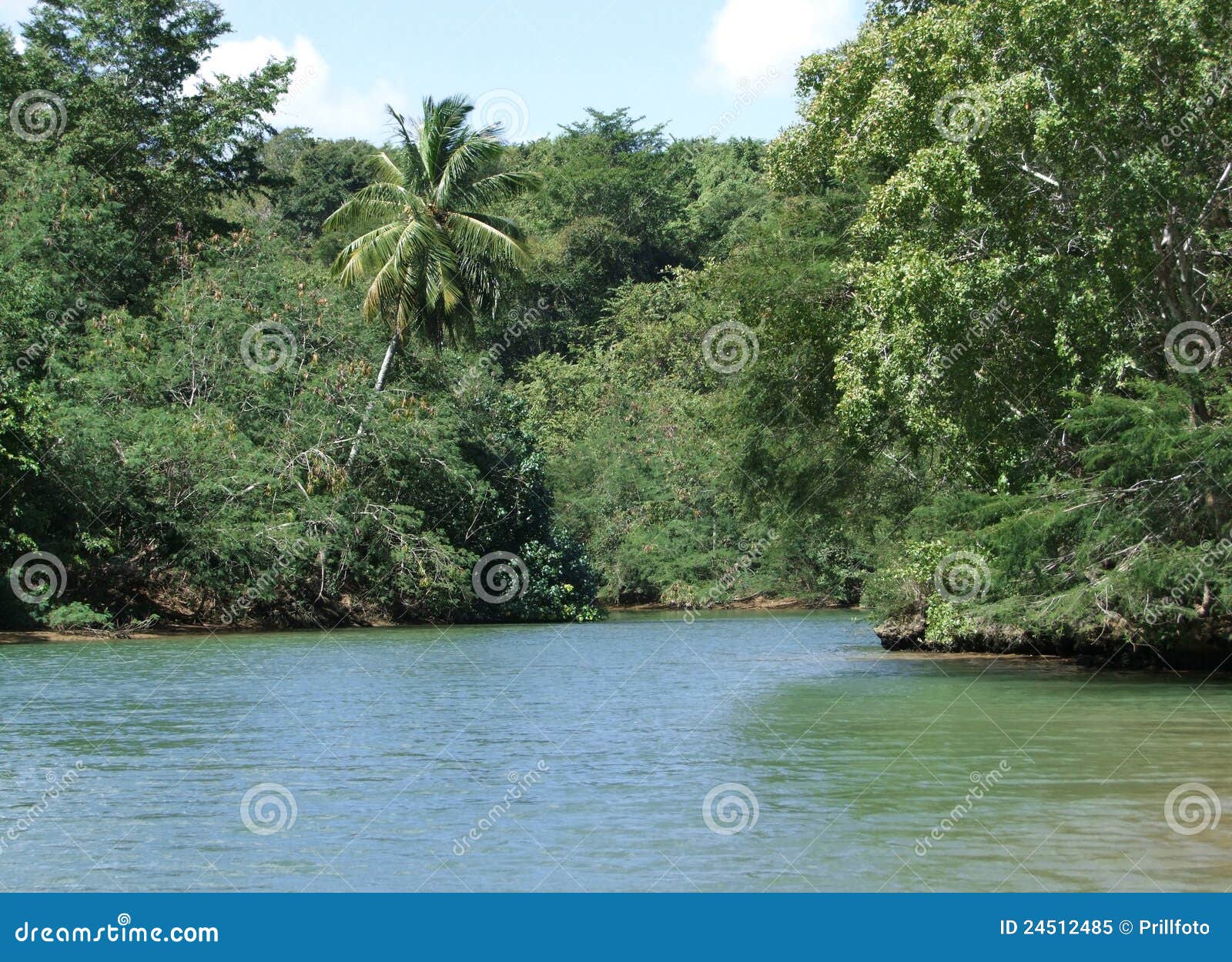 Dominican Republic Waterside Scenery Stock Image - Image of bush ...