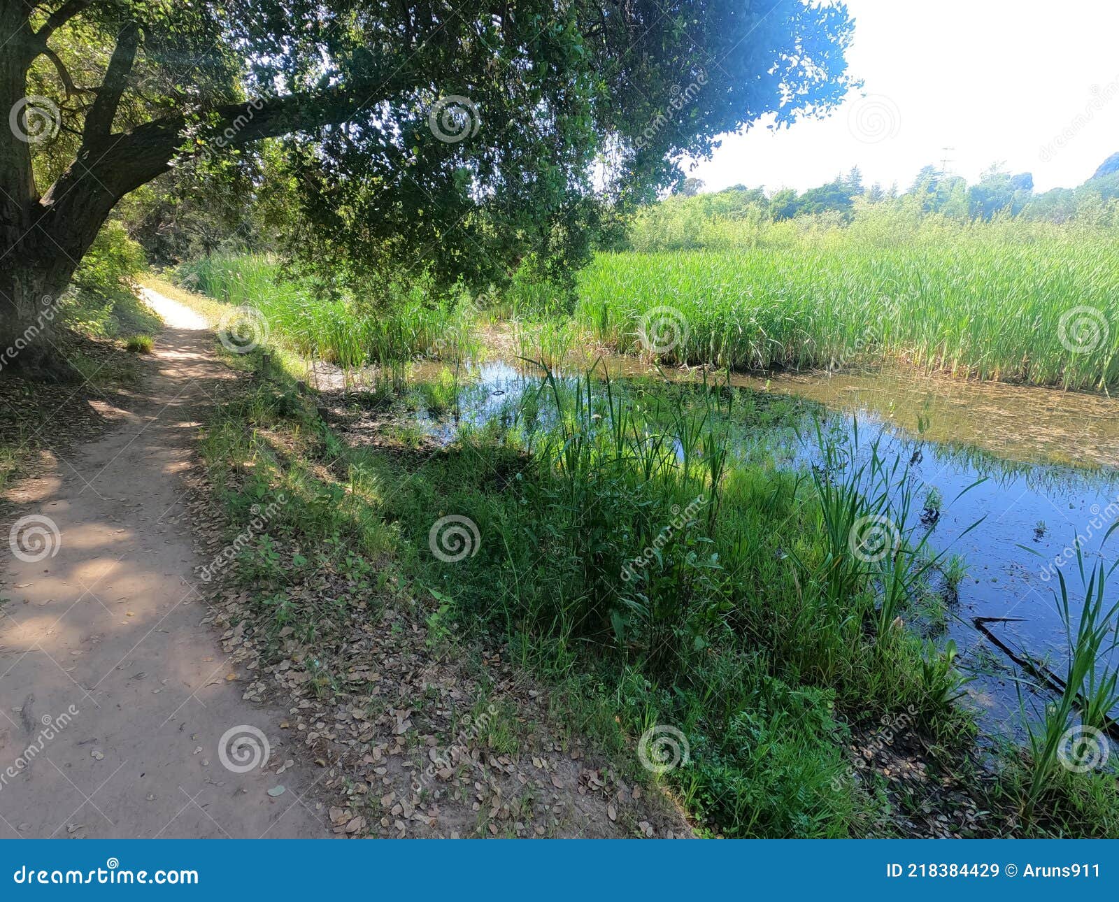Don Castro Recreation area stock image. Image of castro - 218384429