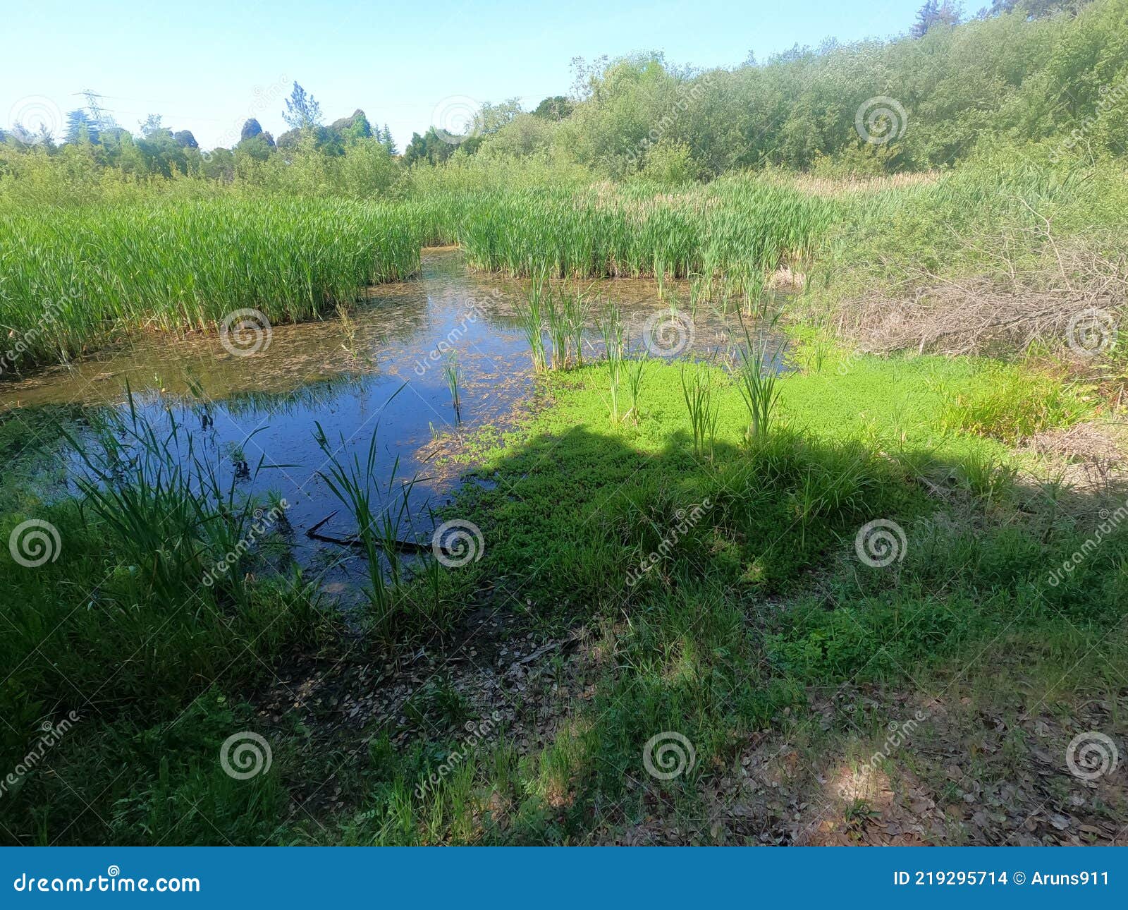 Don Castro Recreation area stock photo. Image of water - 219295714