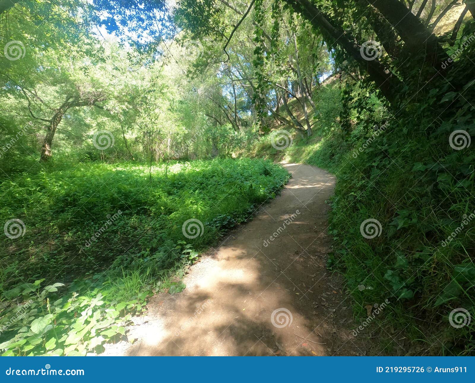 Don Castro Recreation area stock photo. Image of valley - 219295726