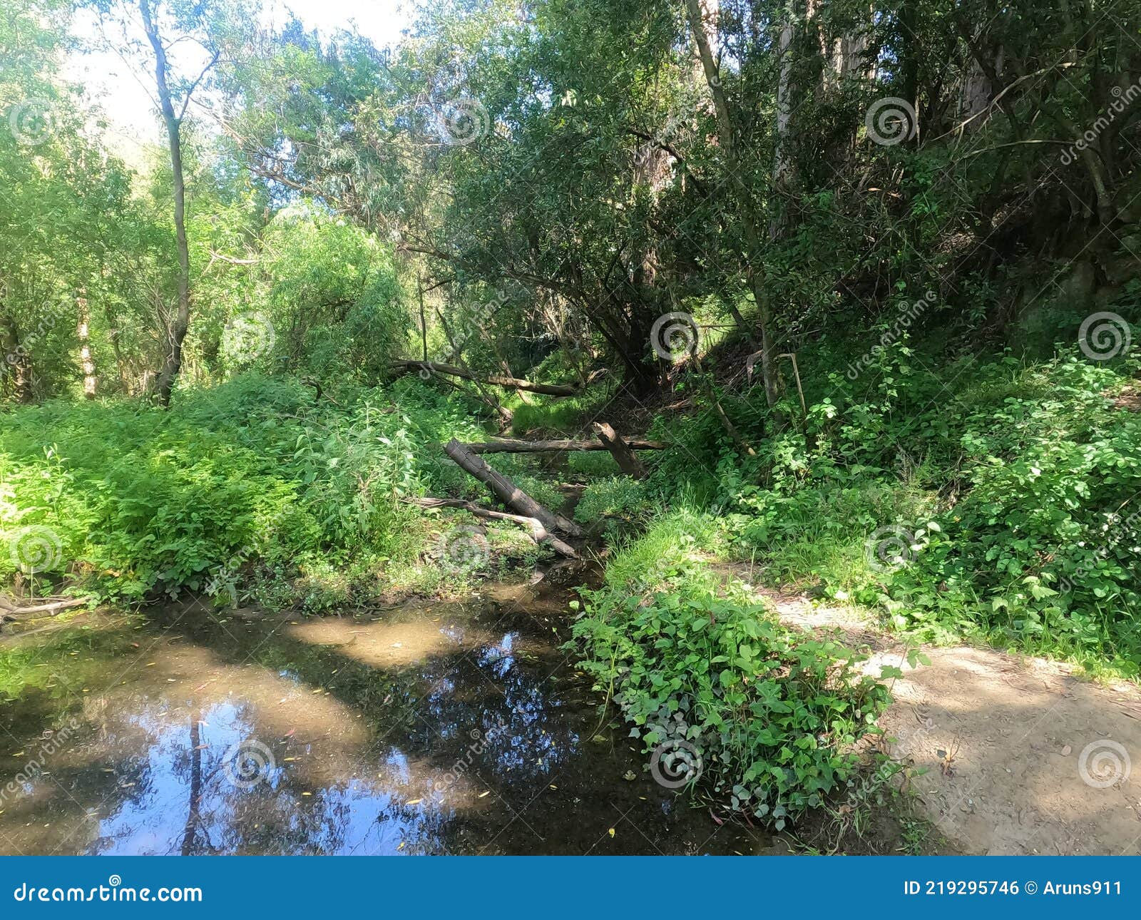 Don Castro Recreation area stock photo. Image of spring - 219295746