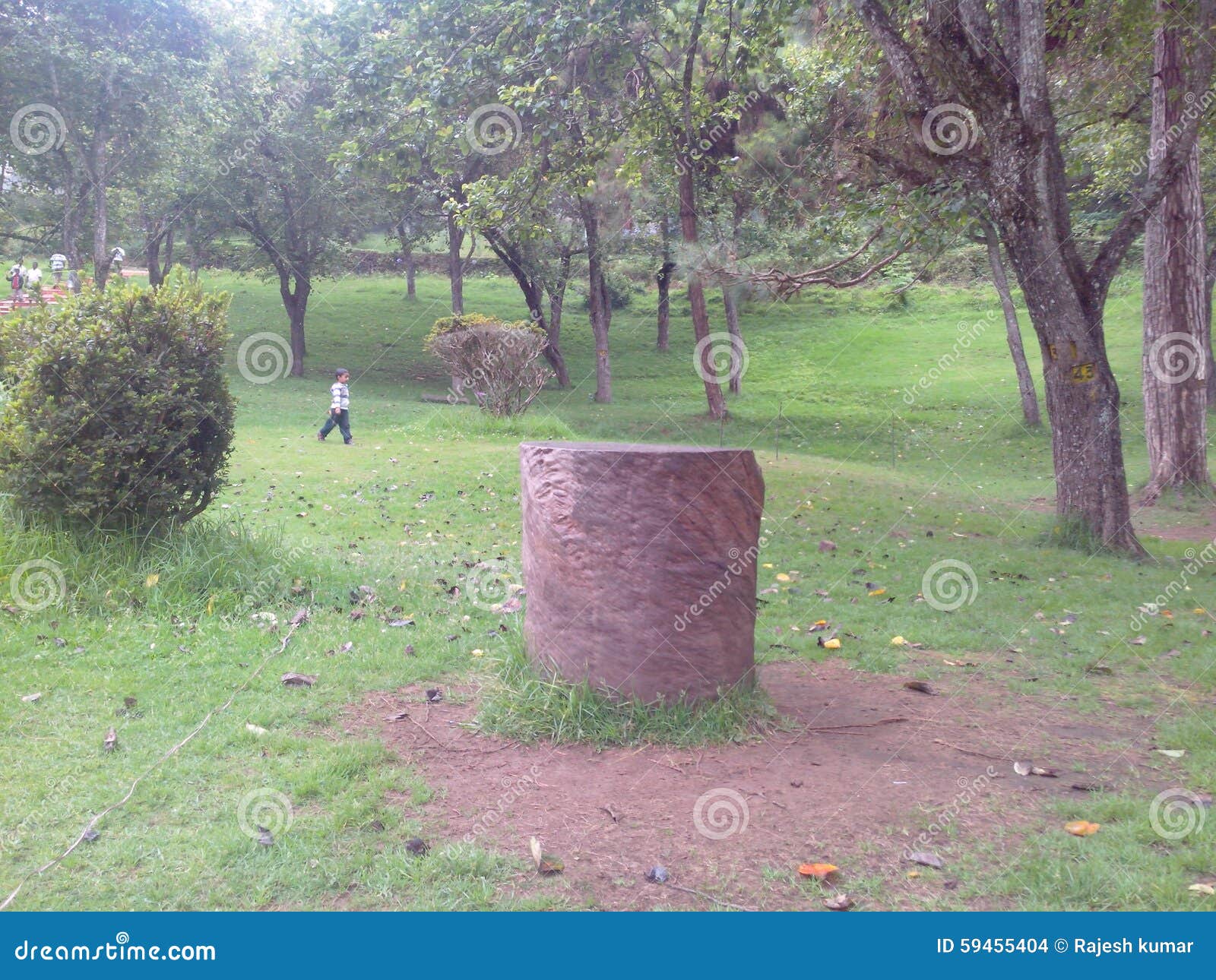 Don t cut trees editorial stock image. Image of trees - 59455404