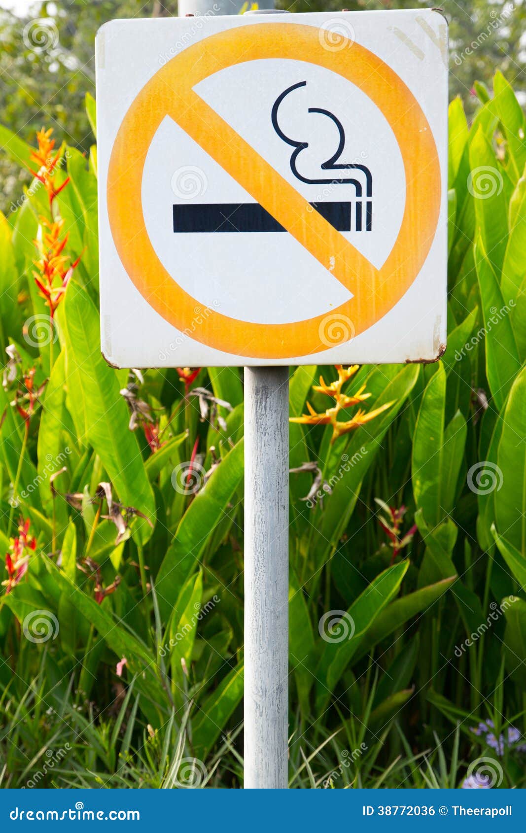 Don t smoke sign stock photo. Image of safety, rule, lunch - 38772036