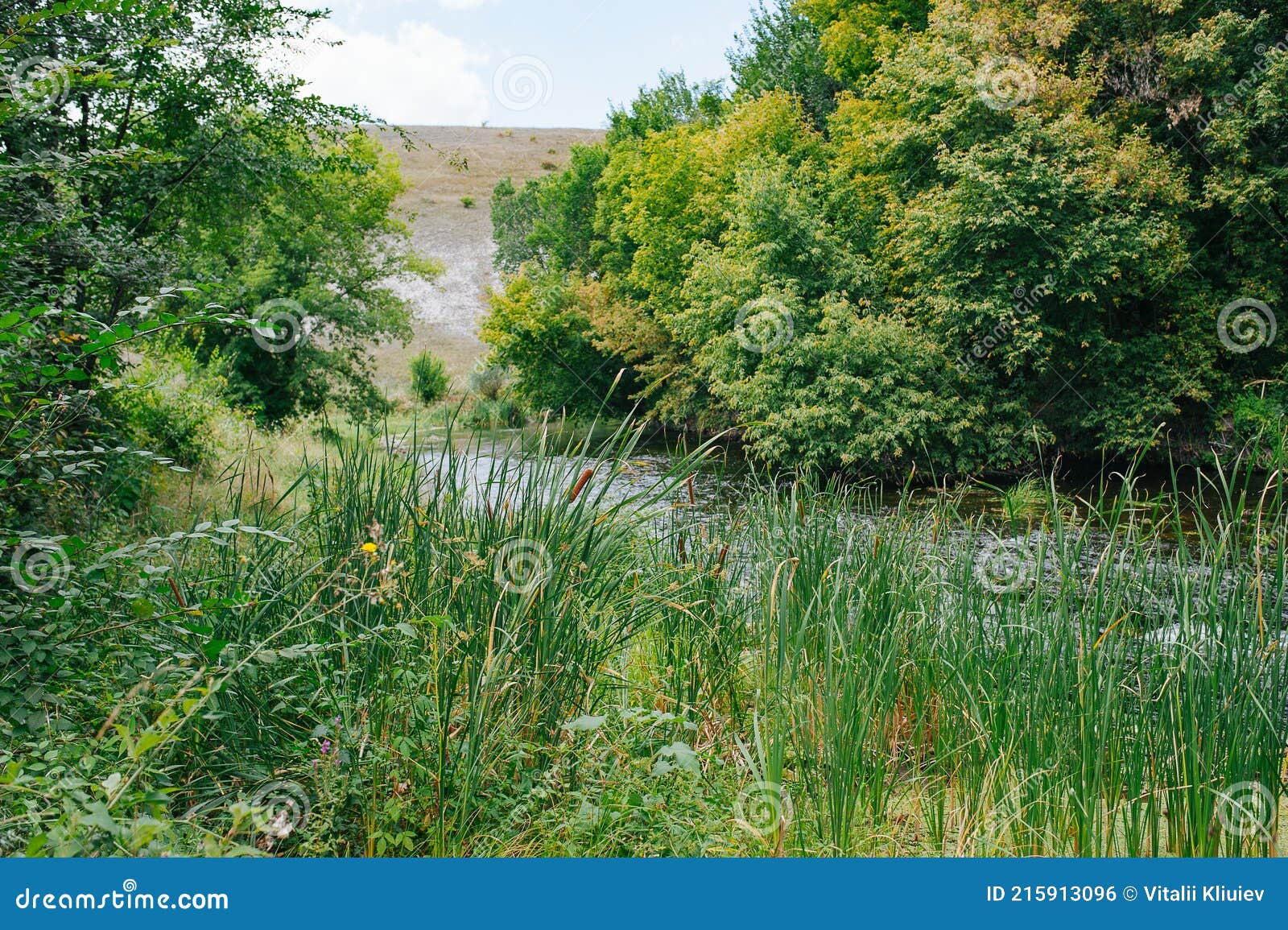 Donbass. Luhansk region stock photo. Image of river - 215913096