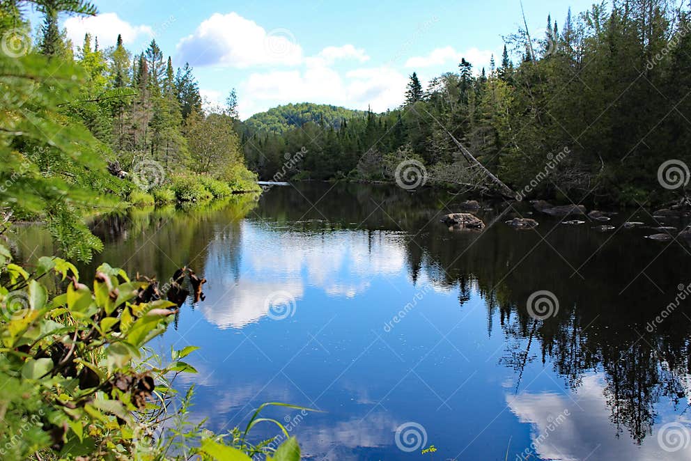 Doncaster river stock image. Image of background, natural - 97704439