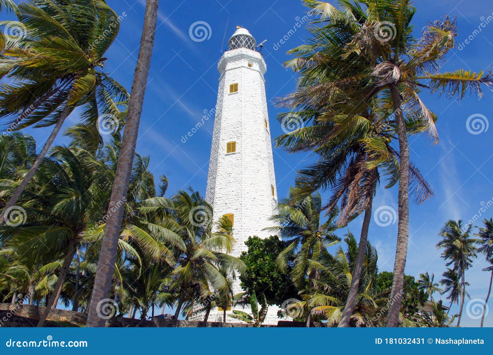 Dondra Lighthouse, Sri Lanka, Behind the Palm Trees Stock Image - Image ...