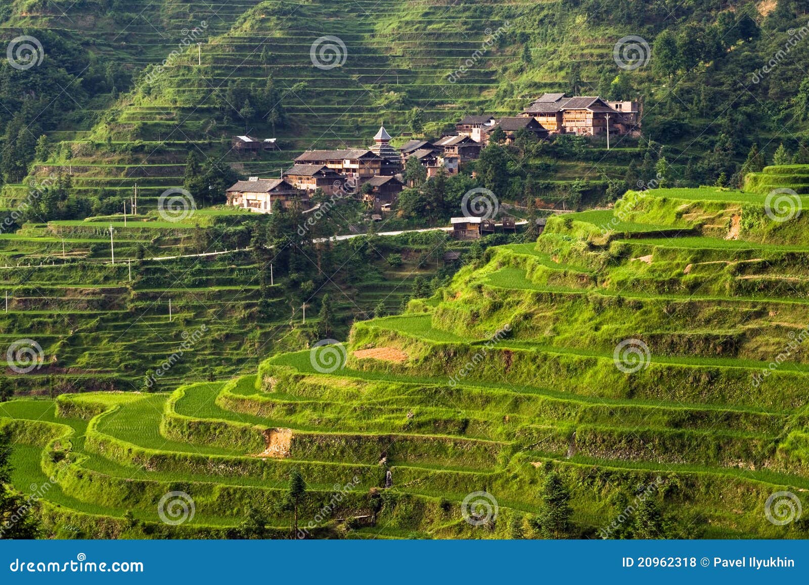 Chinese Village on the Rice Terrace Stock Photo - Image of homes ...