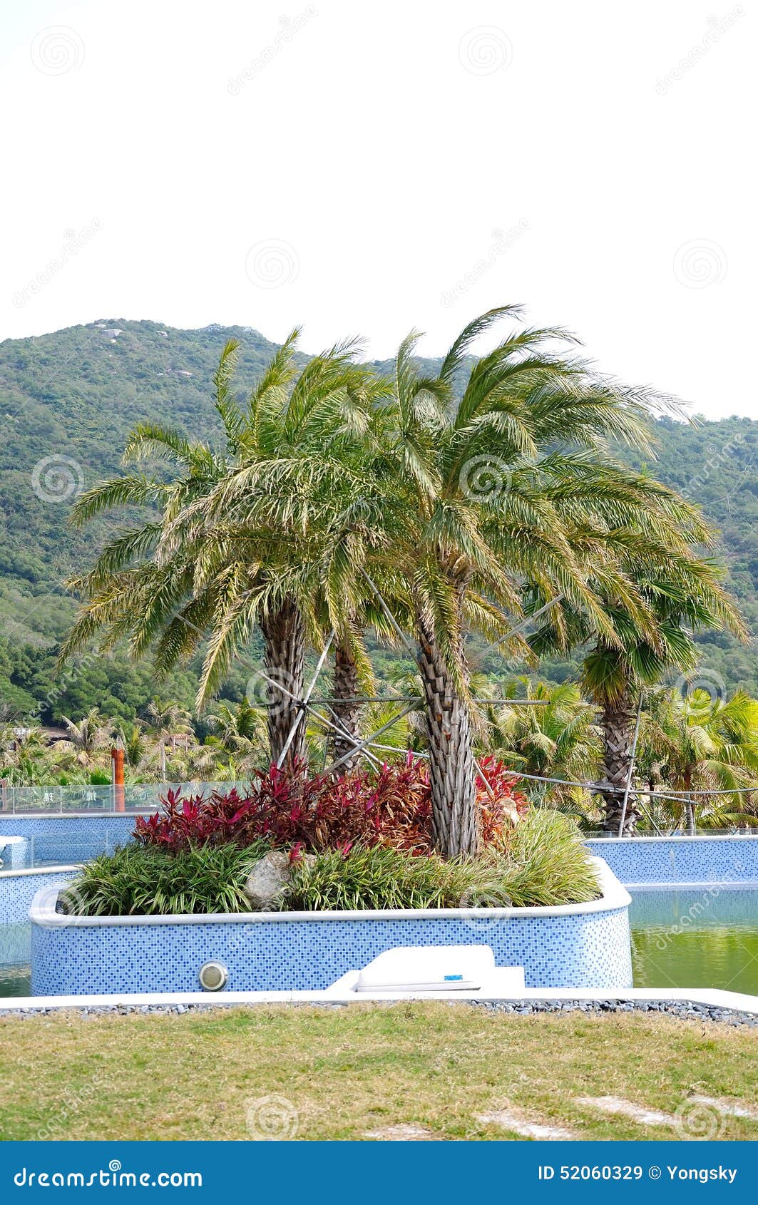 Dongao island scenery stock image. Image of asian, tree - 52060329