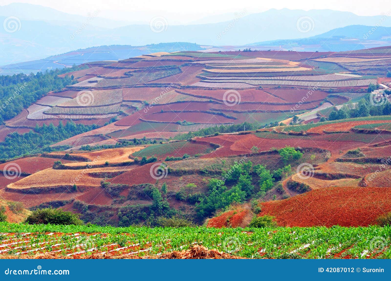 Dongchuan Rood Land stock foto. Image of china, azië - 42087012