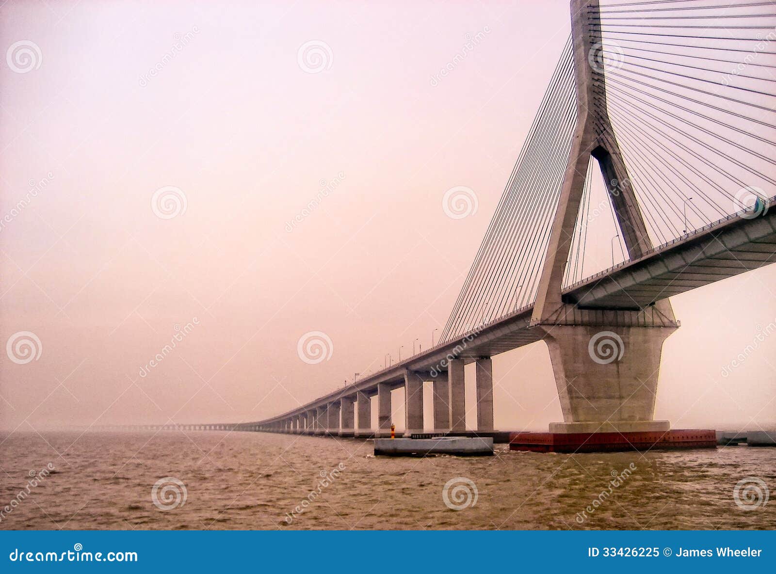 Donhai Stock Photos - Free & Royalty-Free Stock Photos from Dreamstime