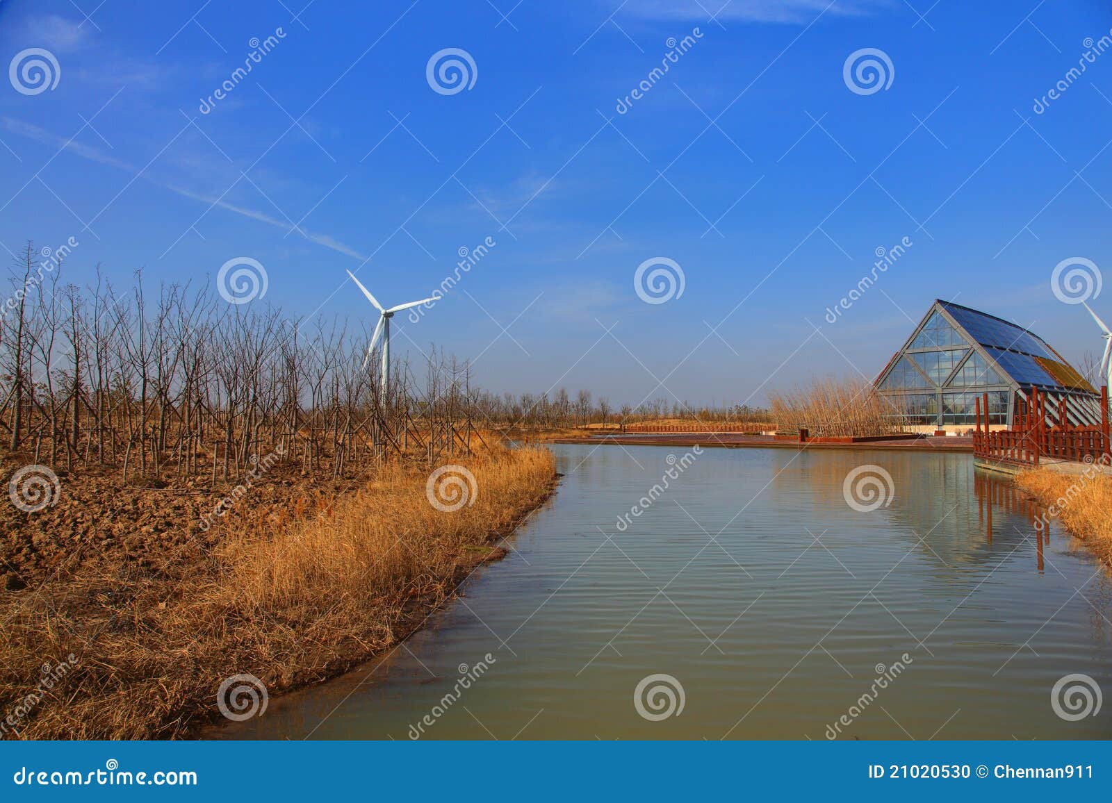 Dongtan stock photo. Image of natural, windmill, trees - 21020530
