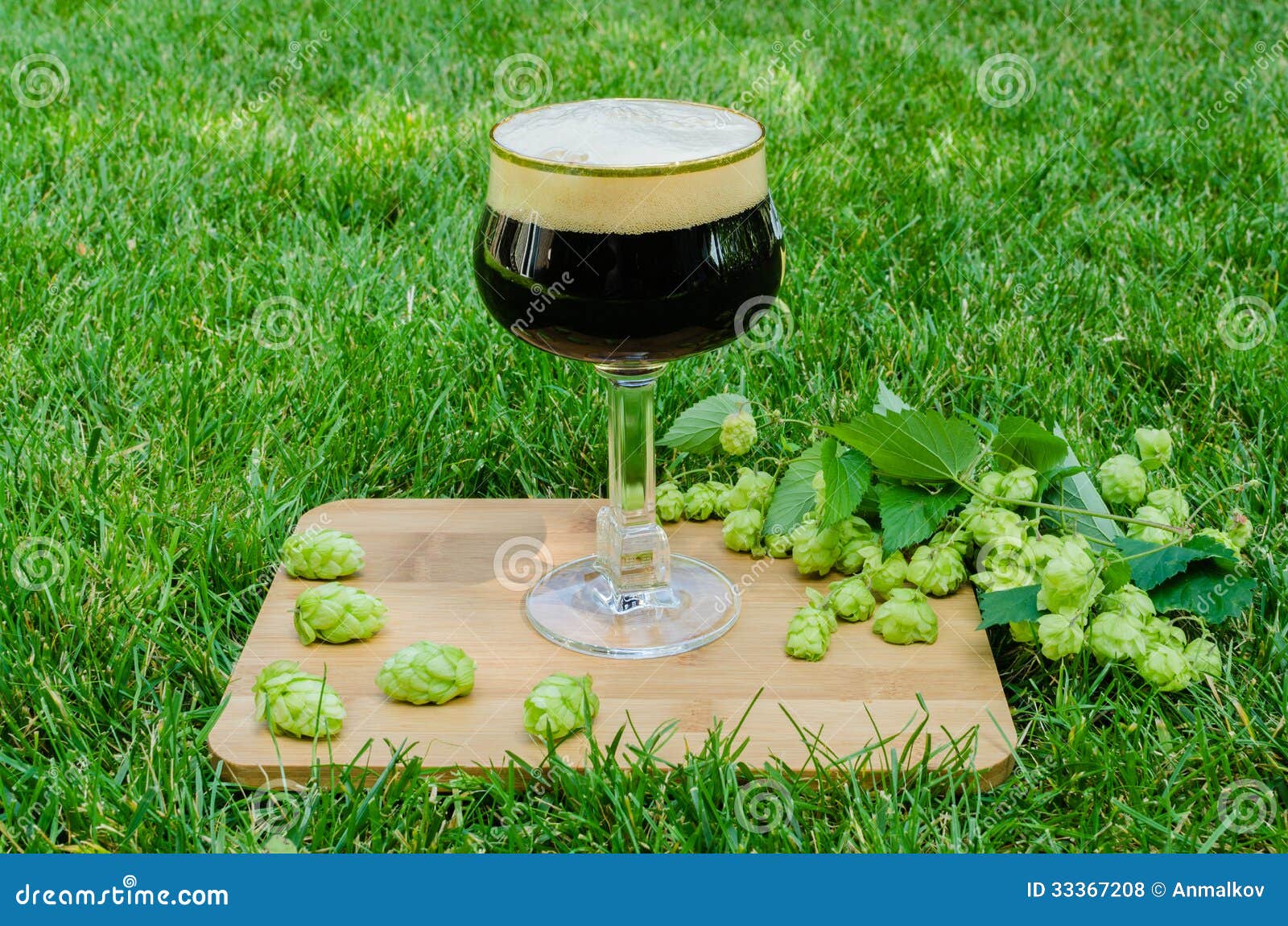 Donker Bier Met Hop Op Gras Stock Foto - Image of gebrouwen, blad: 33367208