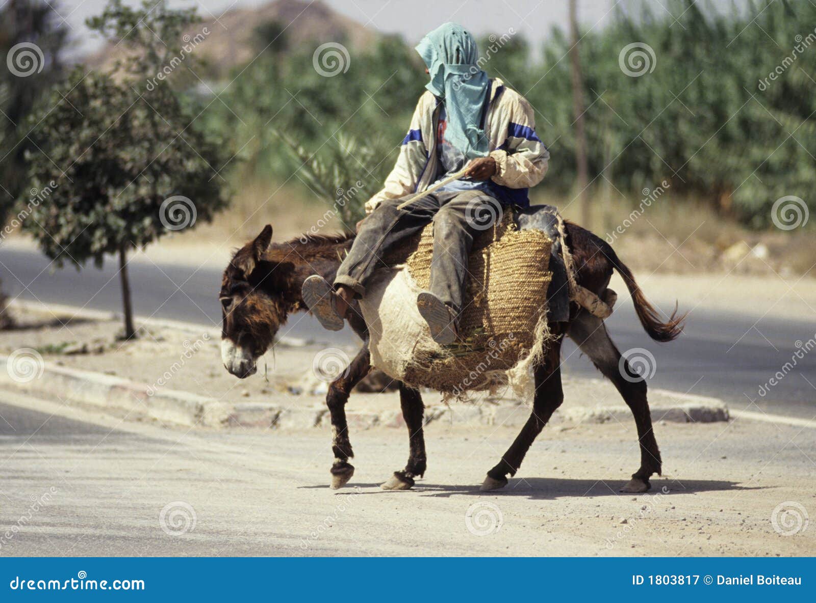 398 Man Riding Donkey Stock Photos - Free & Royalty-Free Stock Photos ...