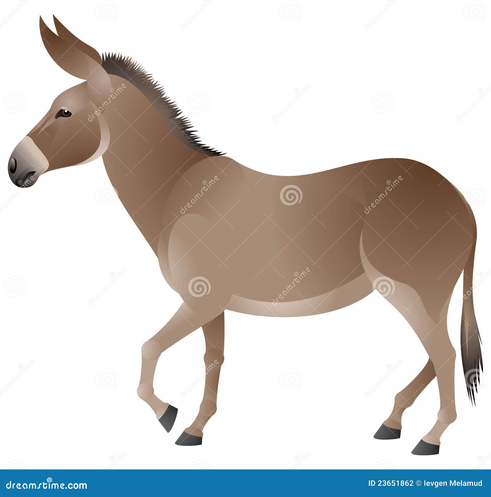 Donkey stock vector. Illustration of farm, vector, domestic - 23651862