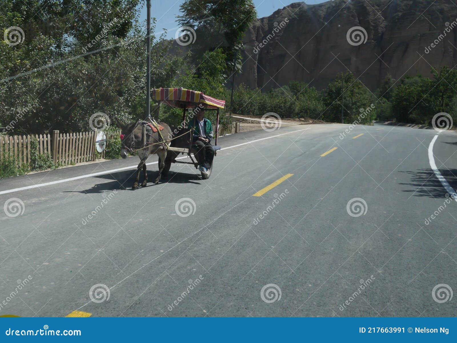 Donkey As a Main Form of Transportation in Rural Area Editorial Photo ...
