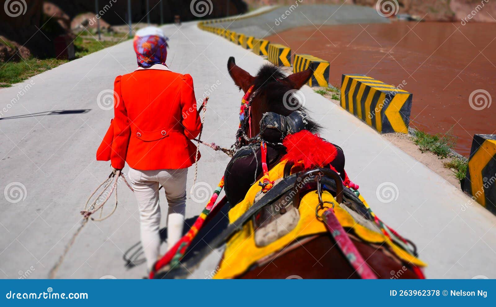 Donkey As a Main Form of Transportation in Rural Area Stock Photo ...