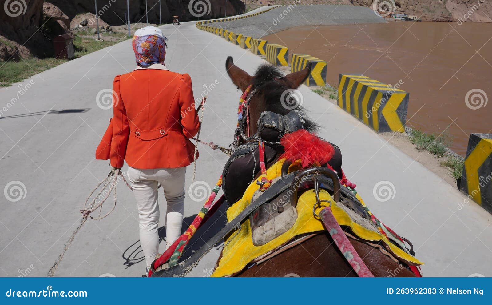 Donkey As a Main Form of Transportation in Rural Area Stock Image ...
