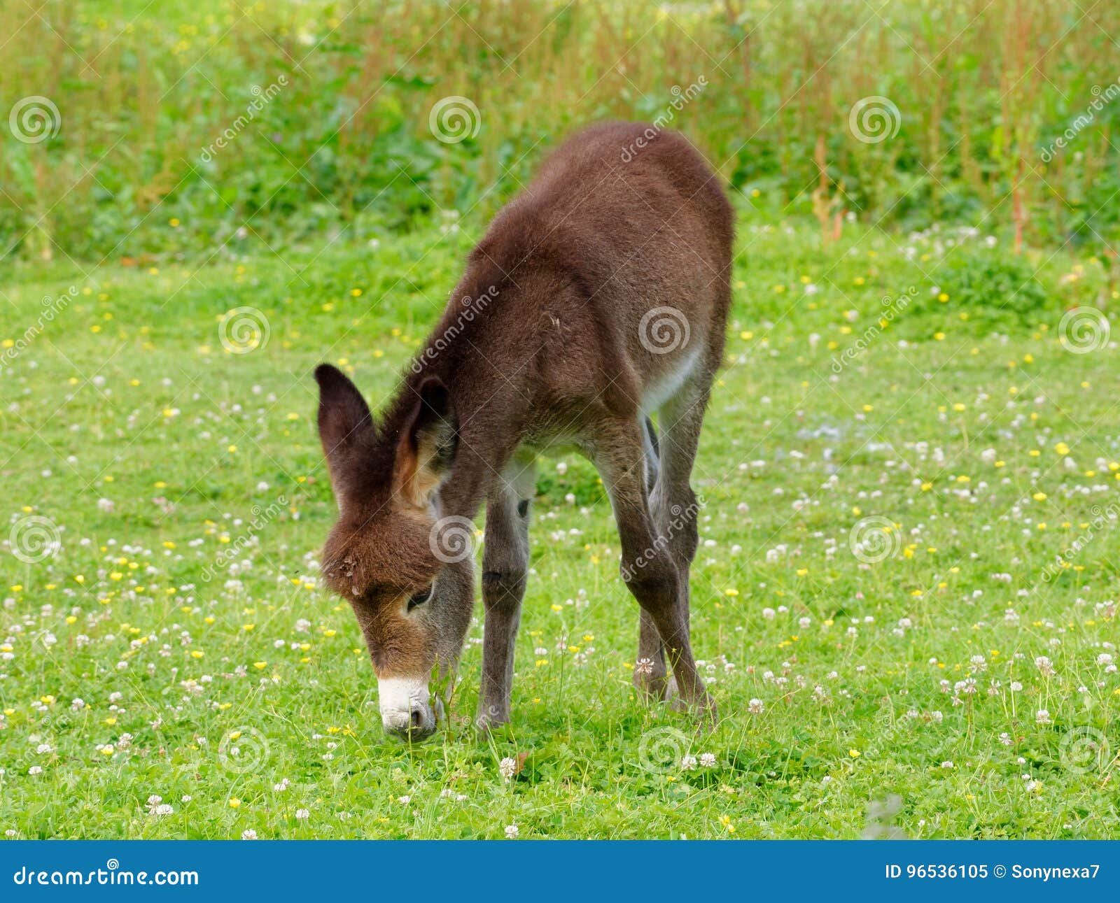 Bhkjj Bfhhj Bfhhk Bhhkk Hhhhj Ffhjj Ffhgj Hfhjj Ffhgj Ffhjj Ffhgj Ffhgg ...