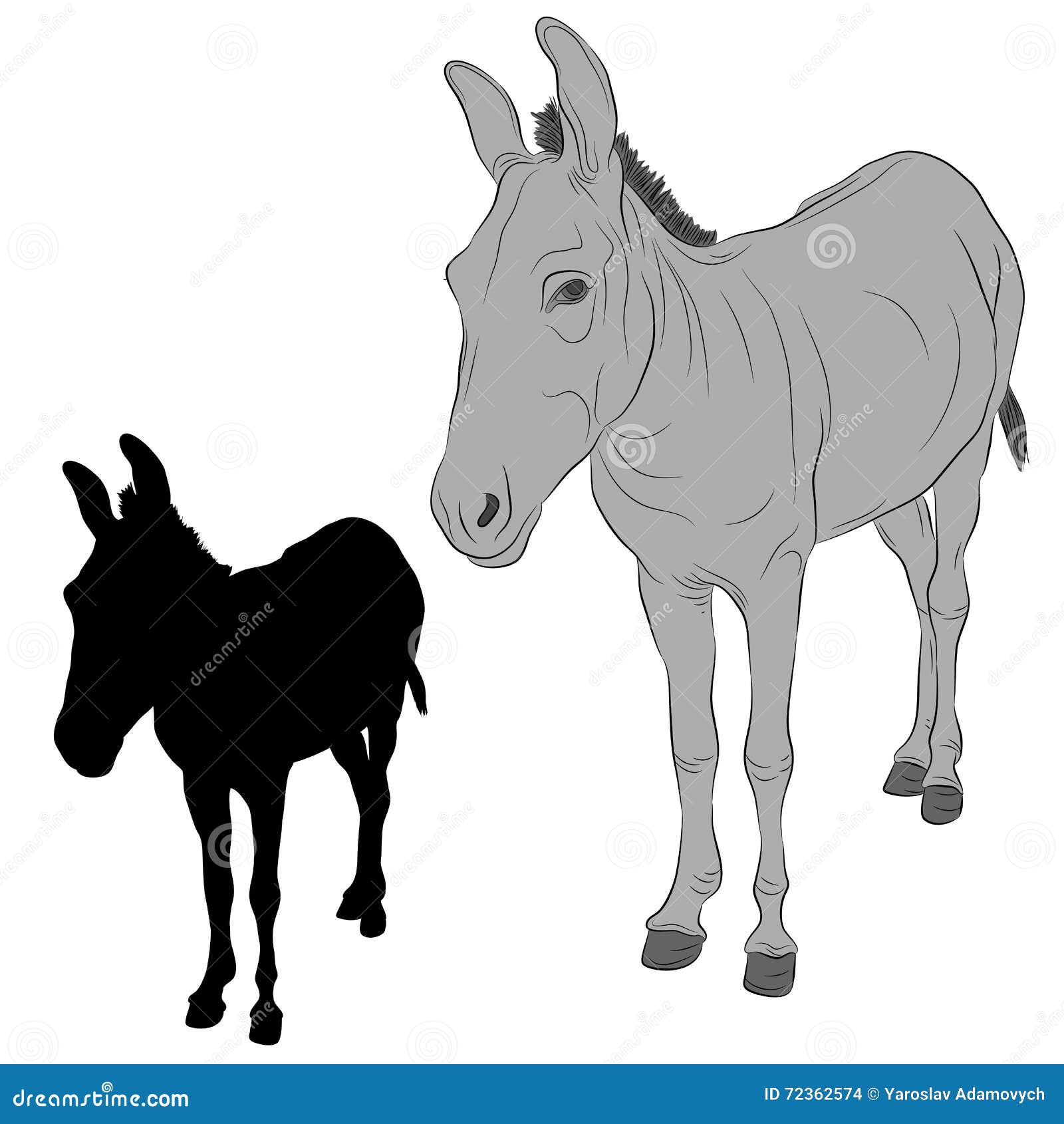 The Donkey With The Black Hair Is Posing With The Happy Face Cartoon ...