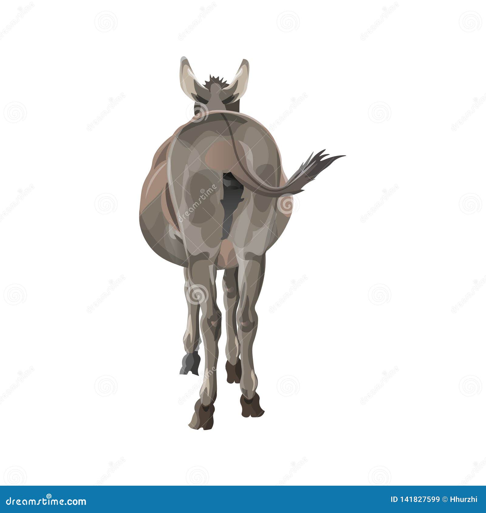 Donkey vector stock vector. Illustration of beasts, funny - 141827599