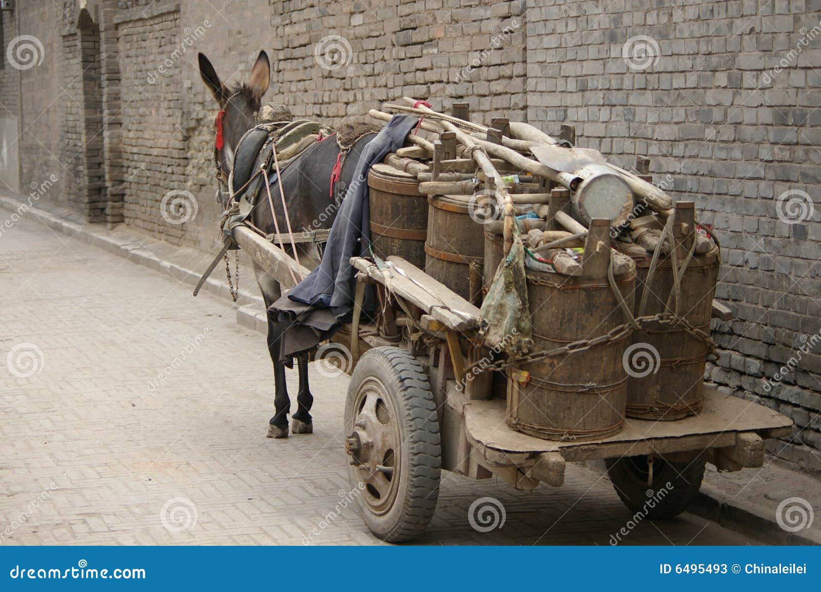 Donkey car stock image. Image of domestic, animals, moke - 6495493