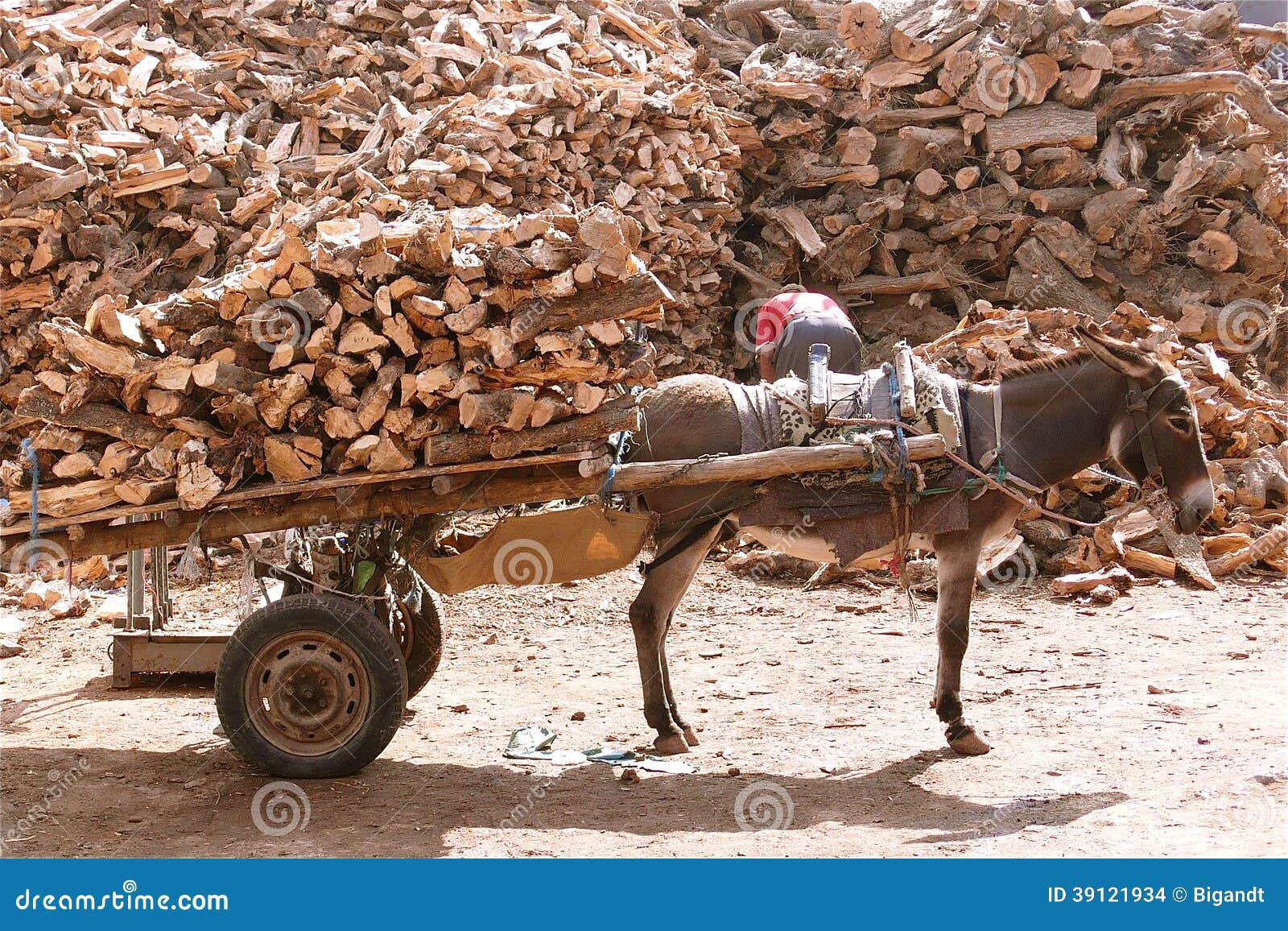 Donkey carriage stock photo. Image of time, wood, vintage - 39121934