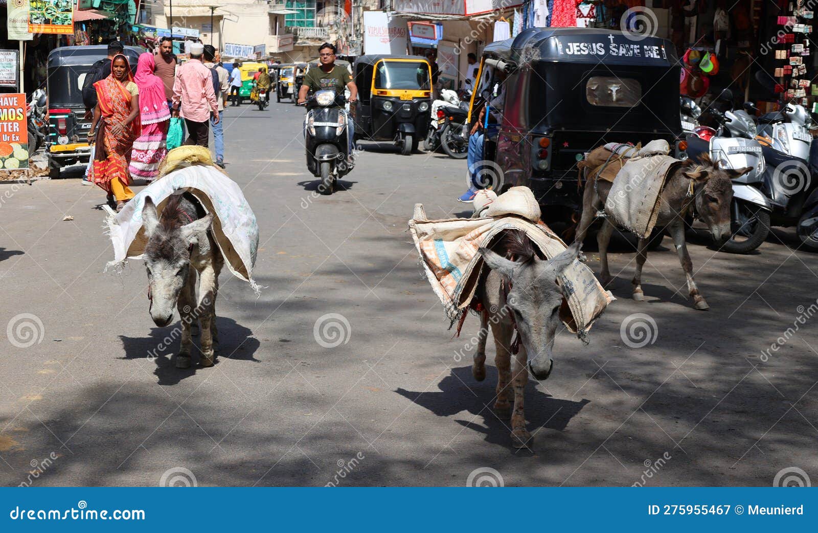 Donkey is Carrying Rocks for Construction Editorial Photography - Image ...
