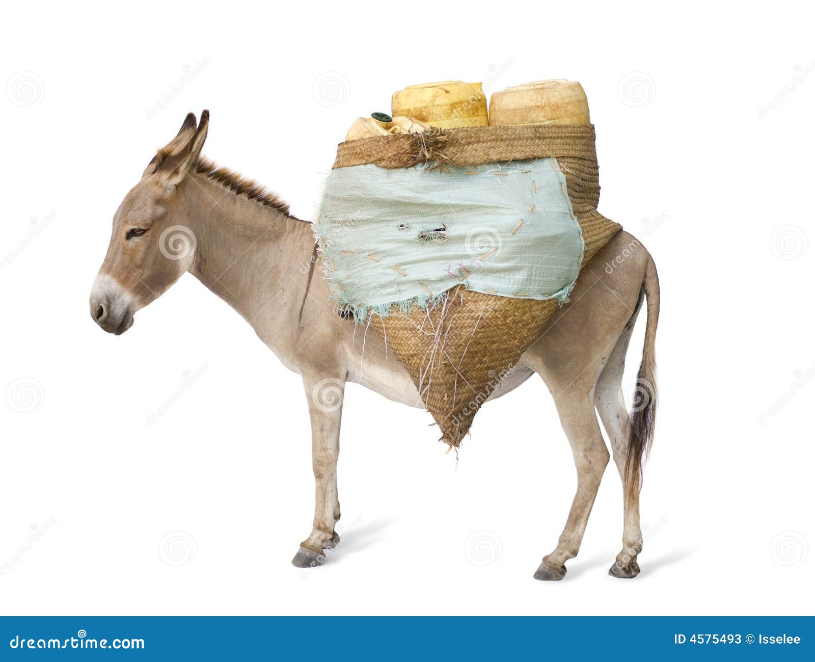 Donkey carrying supplies stock image. Image of donkey - 4575493
