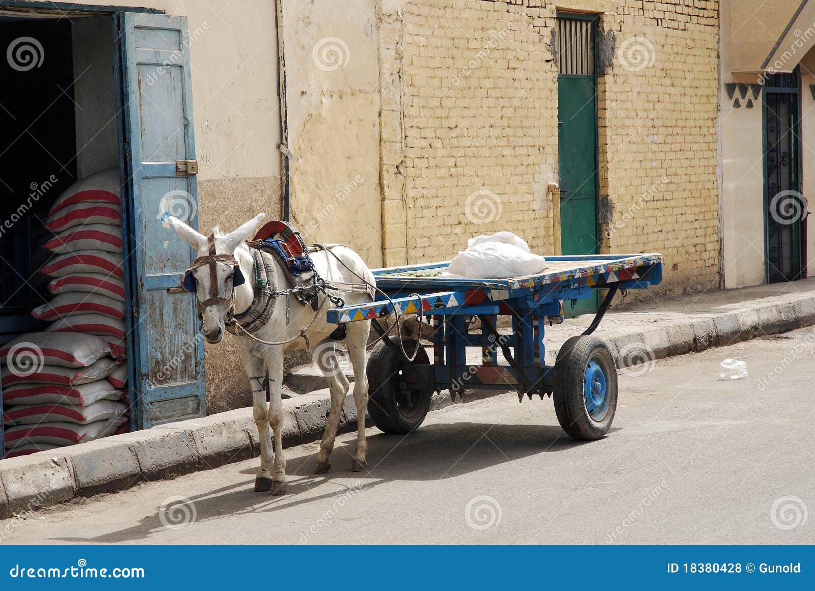 Donkey cart stock photo. Image of cart, donkeys, africa - 18380428