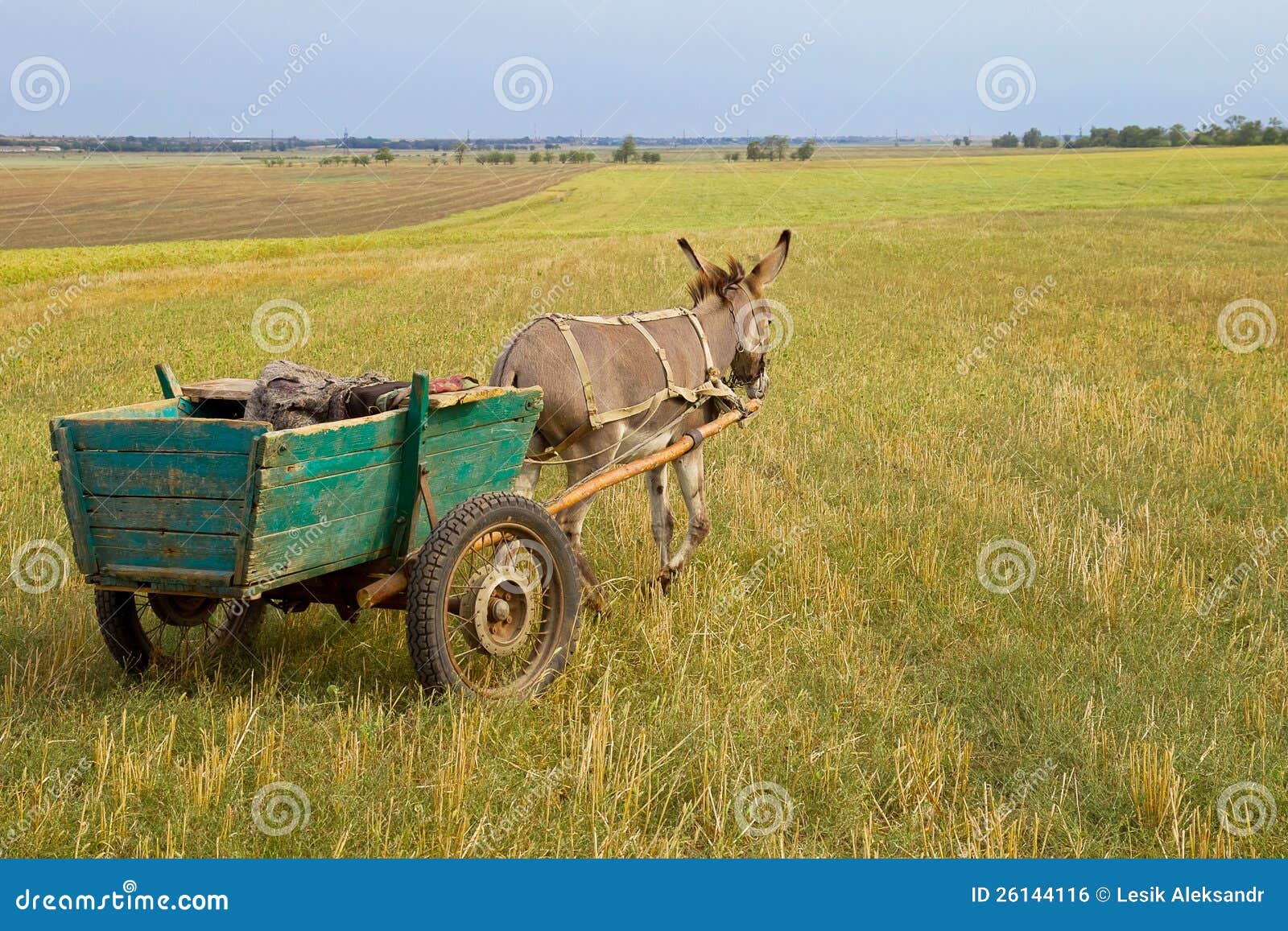 Donkey cart stock photo. Image of summer, transportation - 26144116