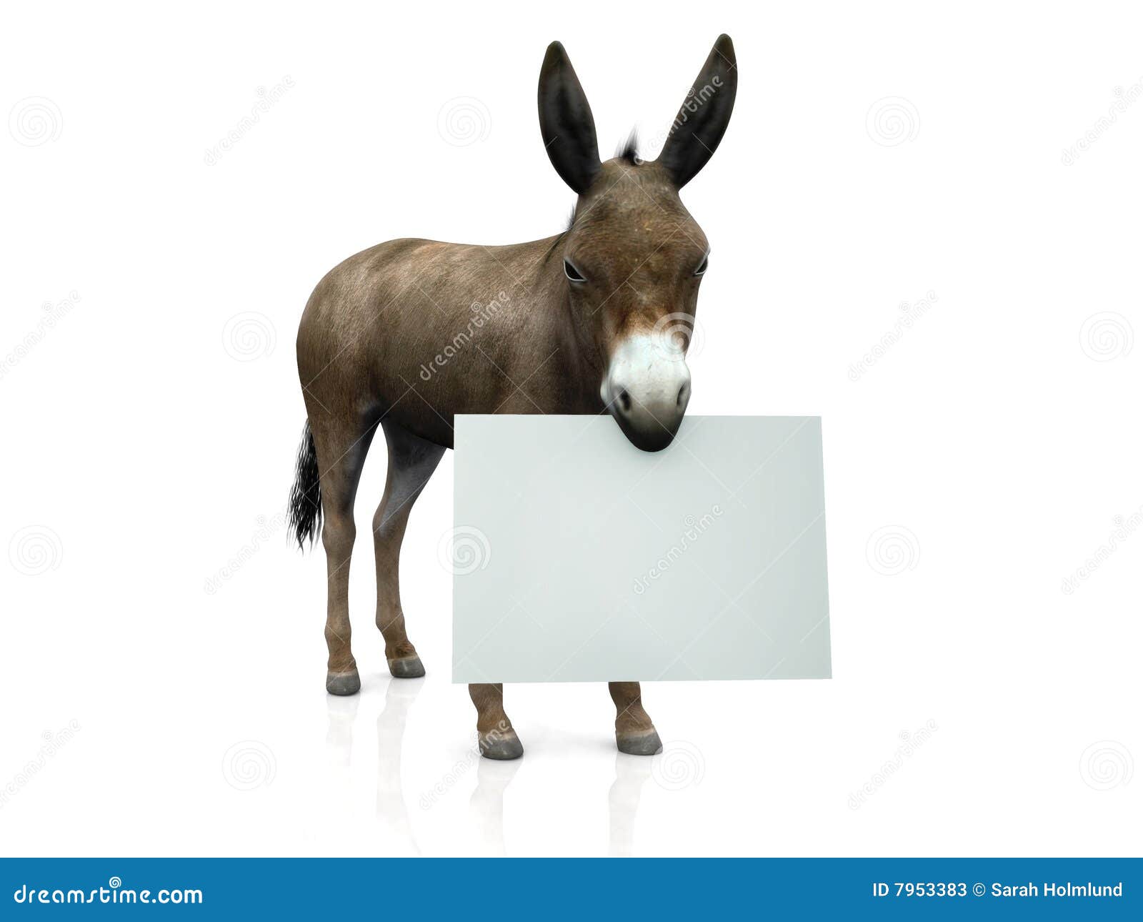 Donkey Holding Sign Stock Photos - Image: 7953383