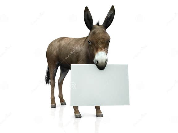 Donkey holding sign stock illustration. Illustration of domestic - 7953383