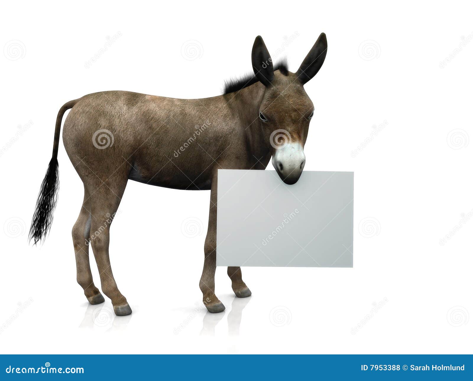 Sign Donkey, Vector Illustration , Black Silhouette,profile ...