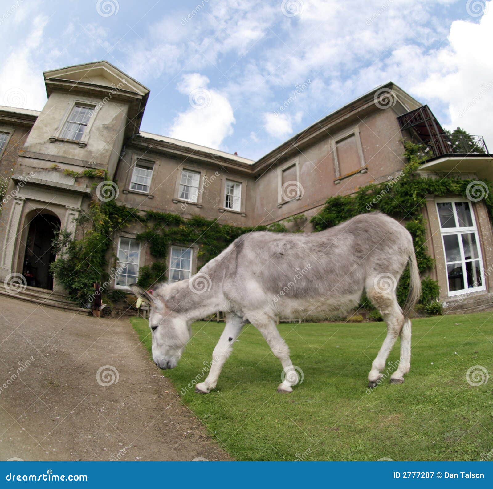 Donkey House Picture. Image: 2777287