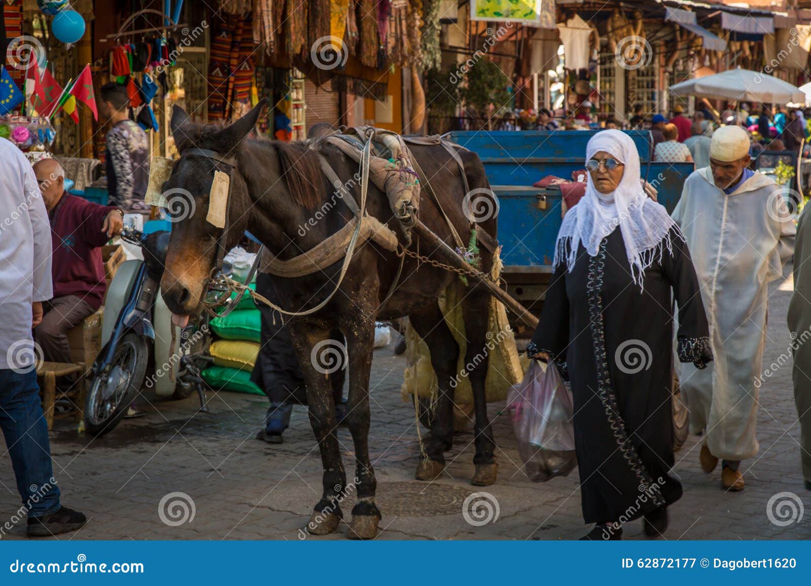 Donkey at the Marrakesh Street Editorial Photography - Image of ...