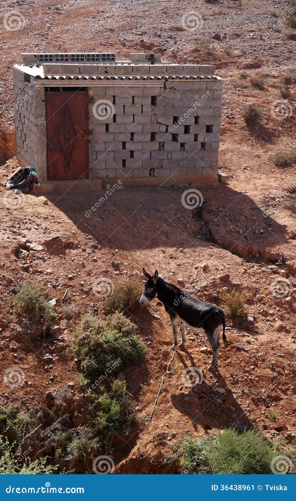Donkey Near Shepherds House Stock Image - Image of donkey, house: 36438961