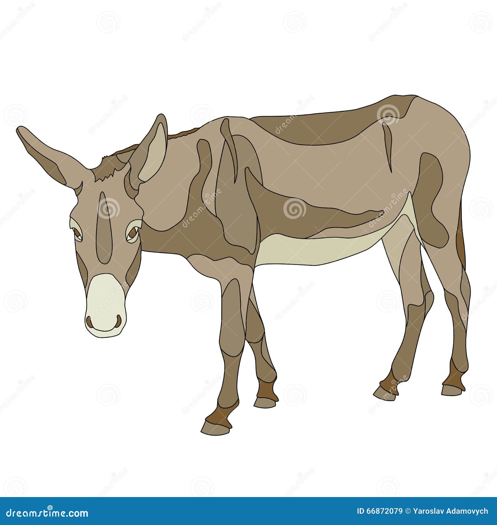 Donkey Outline Color Isolated Stock Vector - Illustration of domestic ...
