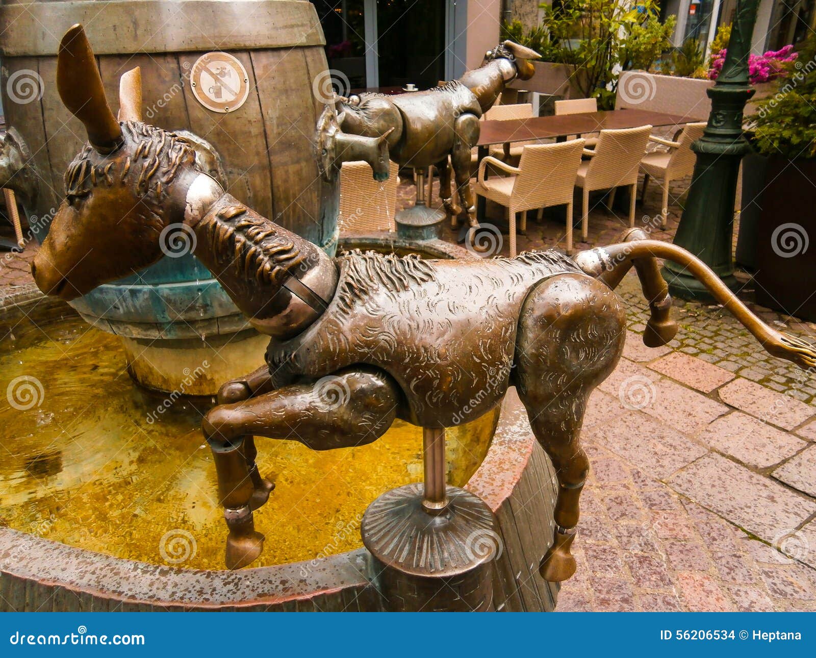 Donkey Pool editorial stock image. Image of pool, neddy - 56206534