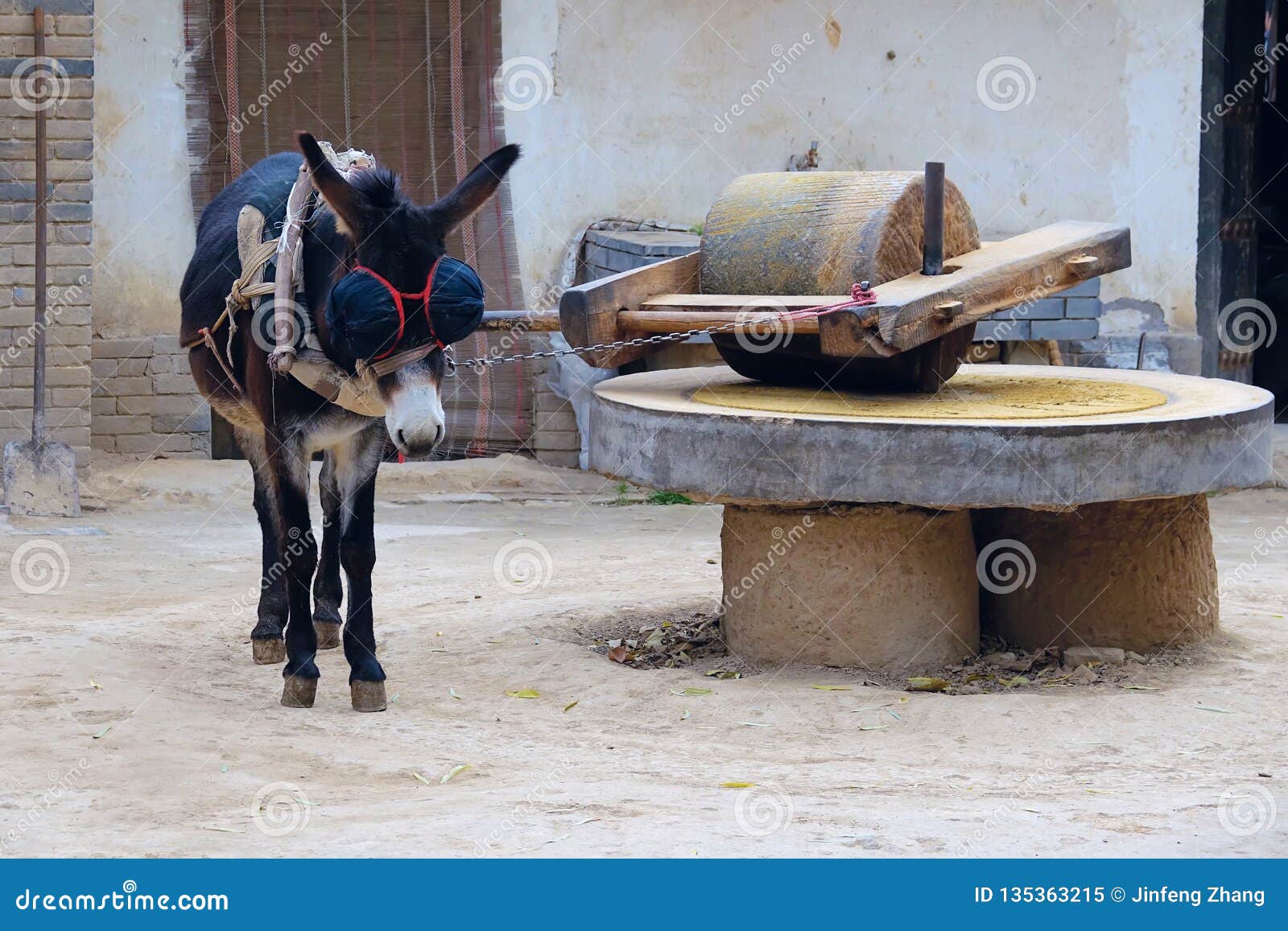 Donkey pull millstone stock image. Image of stone, millstone - 135363215