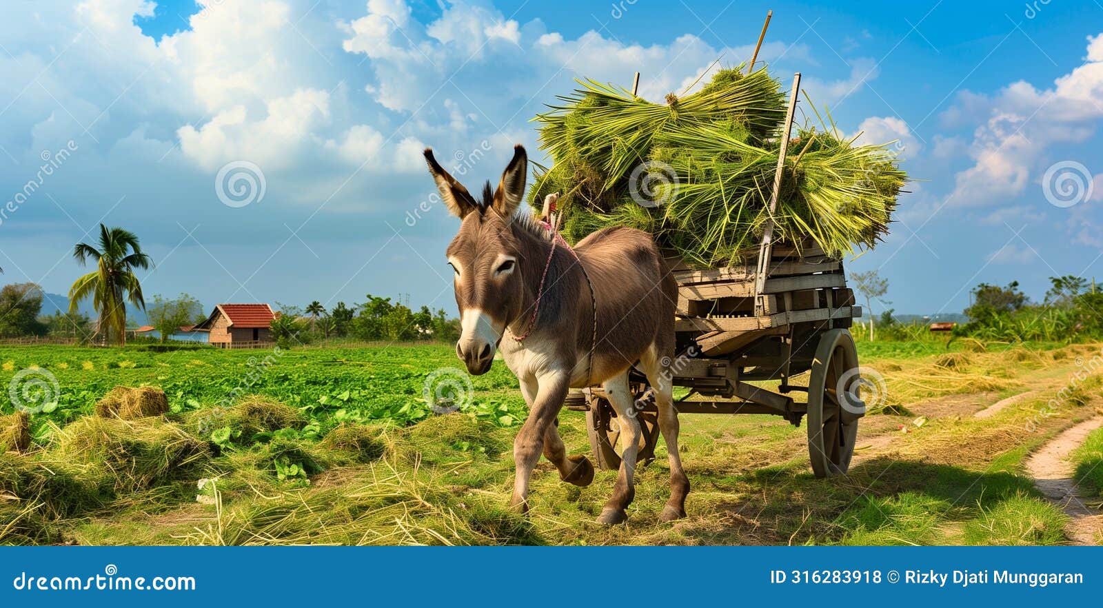 A Donkey Pulling a Cart Filled with Hay Stock Illustration ...