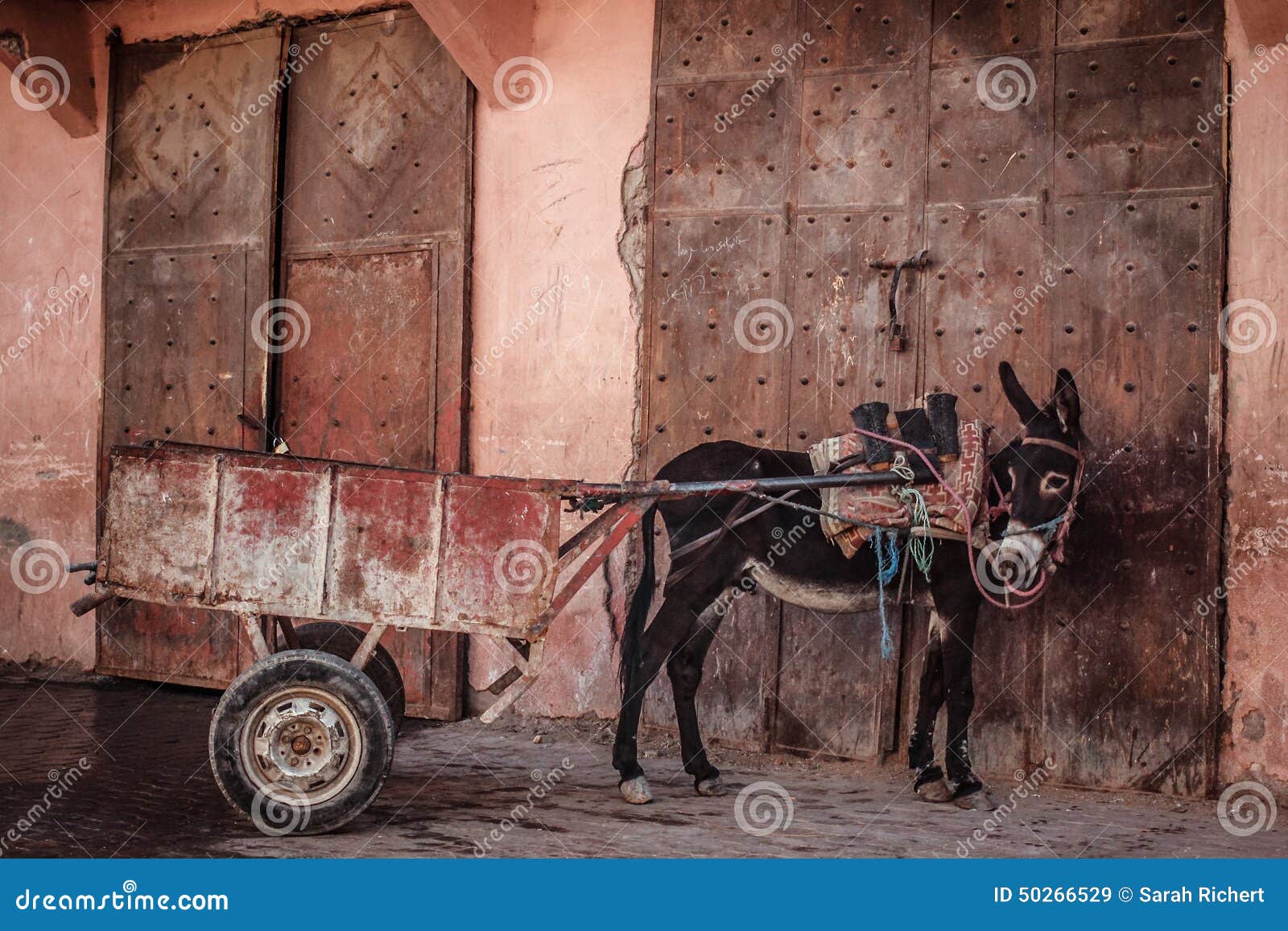 Donkey Pulling Cart Royalty-Free Stock Photography | CartoonDealer.com ...